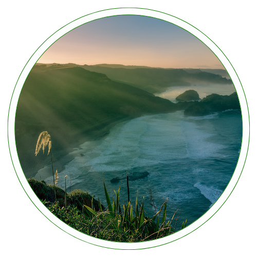 P-Wave : Urinal Mats and Air Fresheners - Choose your fragrance